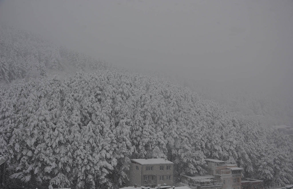 Heavy snowfall, rainfall, floods paralyze daily life across Turkey ...