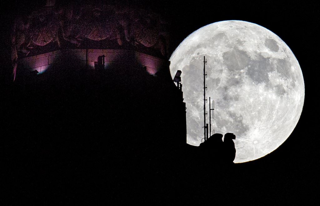 Supermoon illuminates sky beginning Monday morning | Daily Sabah
