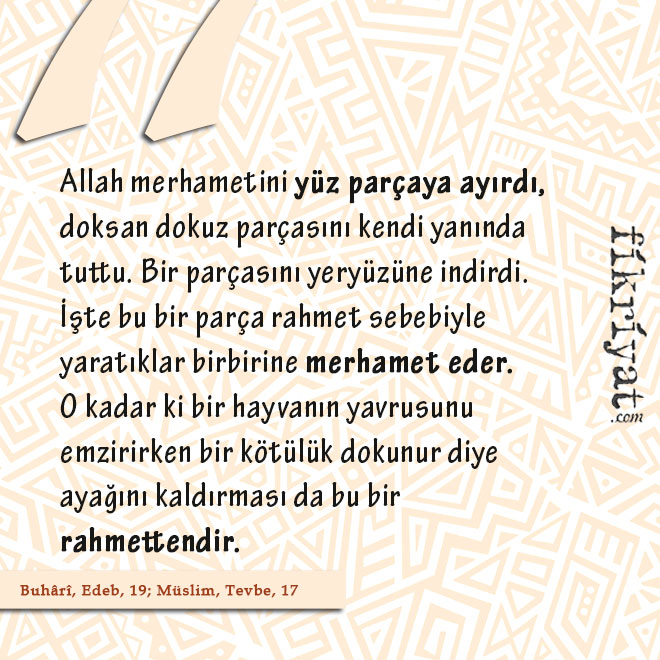 Merhamet nedir? Gereğinden fazla merhametten maraz mı doğar? - Galeri ...