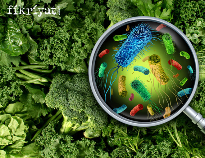 Besin zehirlenmesi nedir? Besin zehirlenmesinden korunma yolları ...