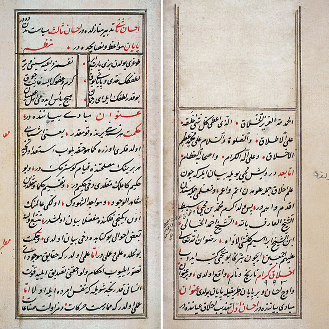 Sahib-i Tarih: Muhyi-yi Gülşeni - Galeri - Fikriyat Gazetesi