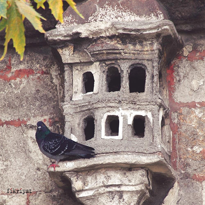 Osmanlı’da merhametin sanatla birleştiği yapılar: Kuş Evleri - Galeri ...