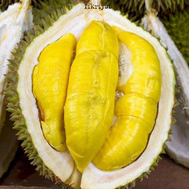 Dünyanın en farklı meyvesi - Galeri - Fikriyat Gazetesi