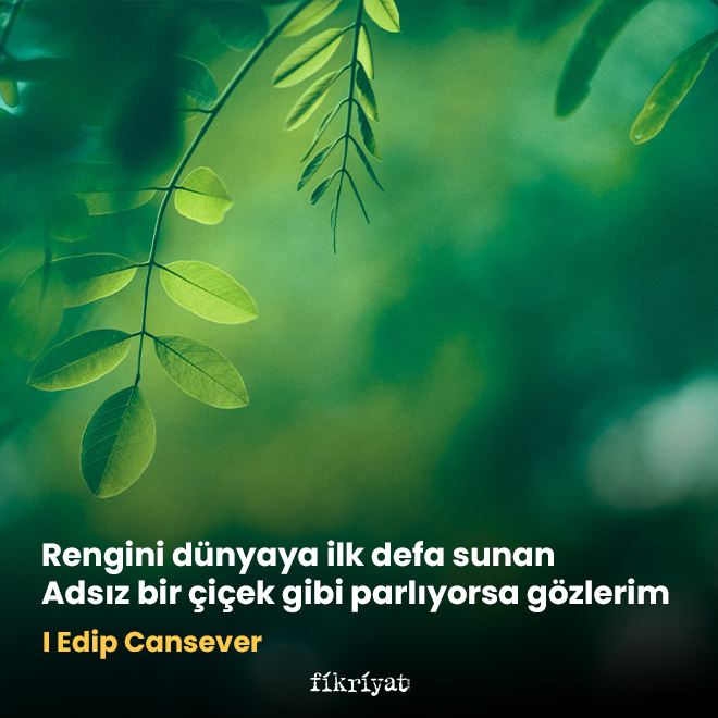 Edip Cansever’in en çok sevilen 50 şiiri - Galeri - Fikriyat Gazetesi
