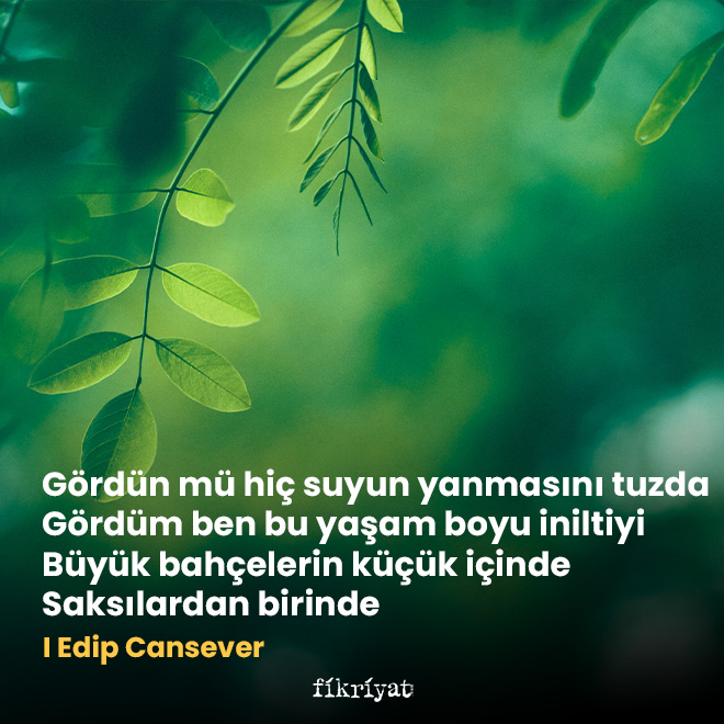 Edip Cansever’in en çok sevilen 50 şiiri - Galeri - Fikriyat Gazetesi