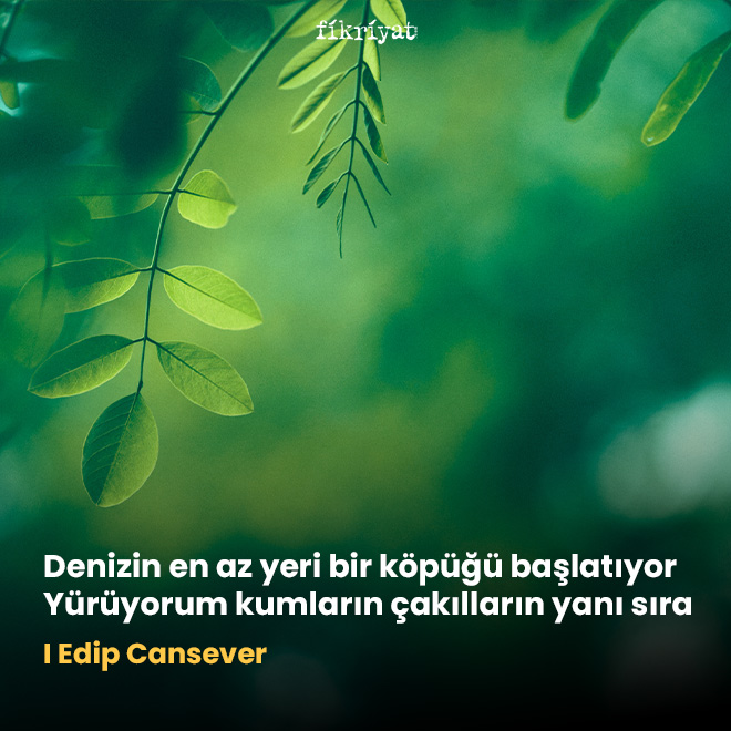 Edip Cansever’in en çok sevilen 50 şiiri - Galeri - Fikriyat Gazetesi