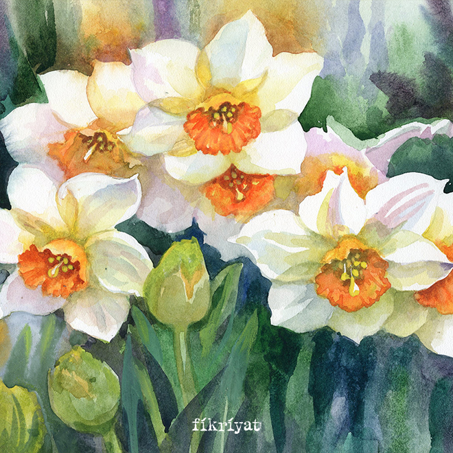 Nergis ve mitolojik hikayesi - Galeri - Fikriyat Gazetesi