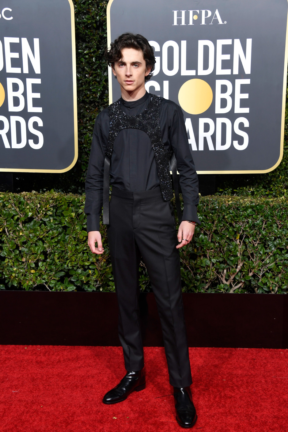 Timothée Chalamet'in En İyi 15 Formal Görünümü