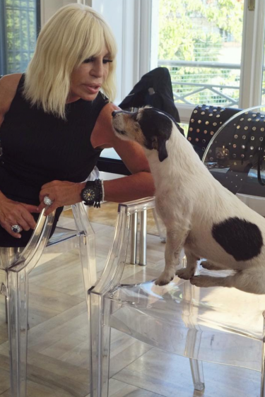 Versace İlkbahar/Yaz 2017 Defilesi Hakkında Bilmeniz Gerekenler